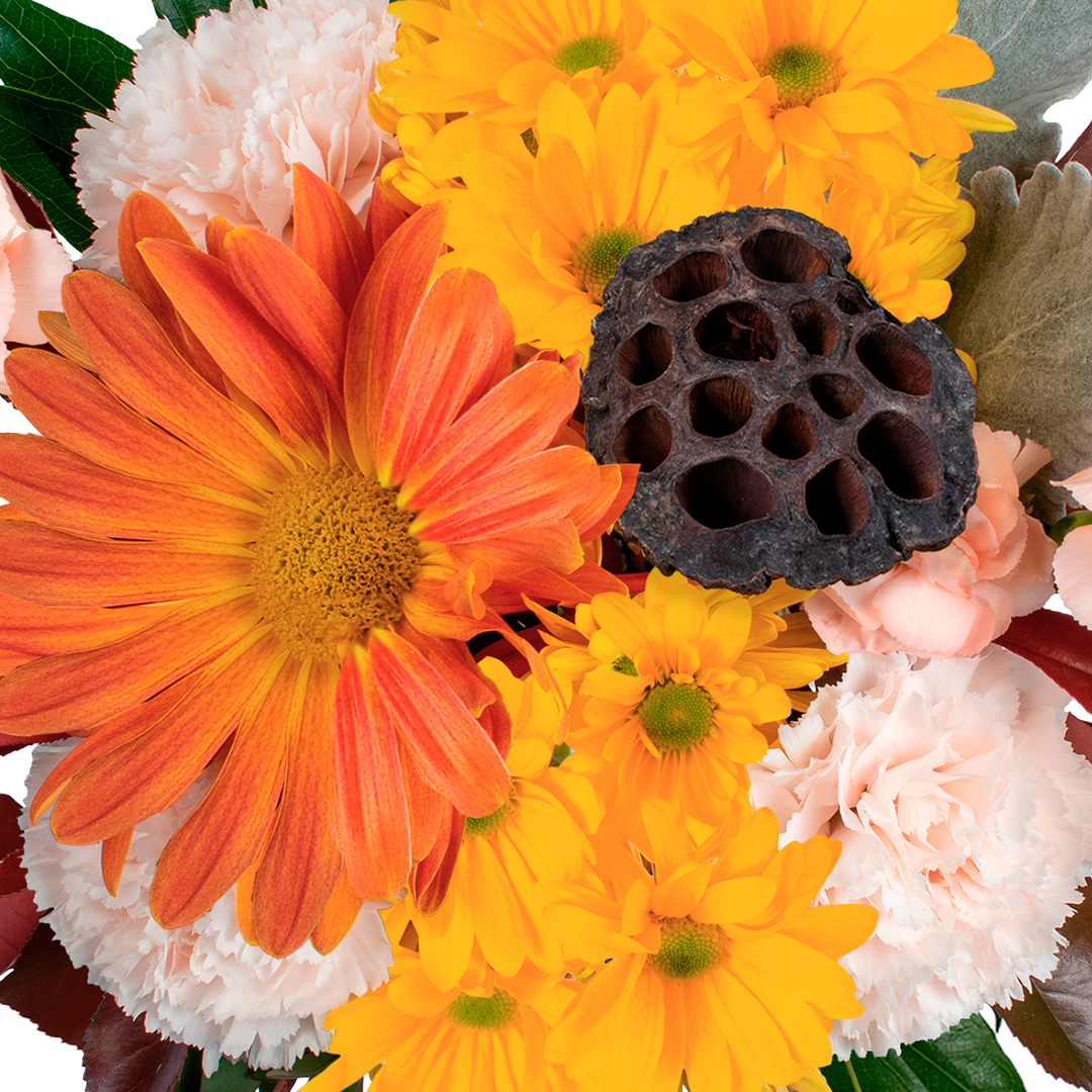 Bouquets - Vistaflor